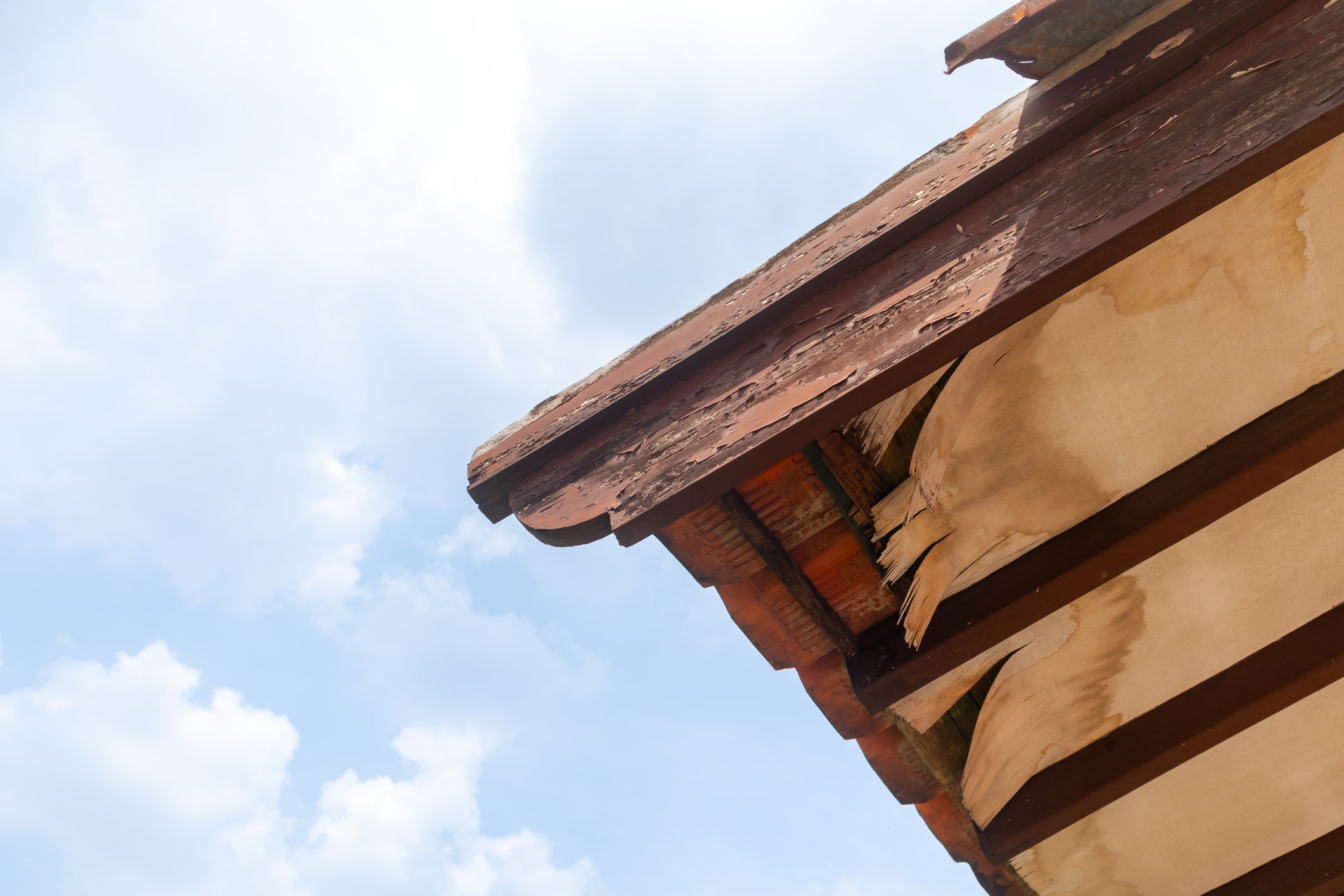 Dry Rot and Hidden Roof Damage - Heritage Roofing Company